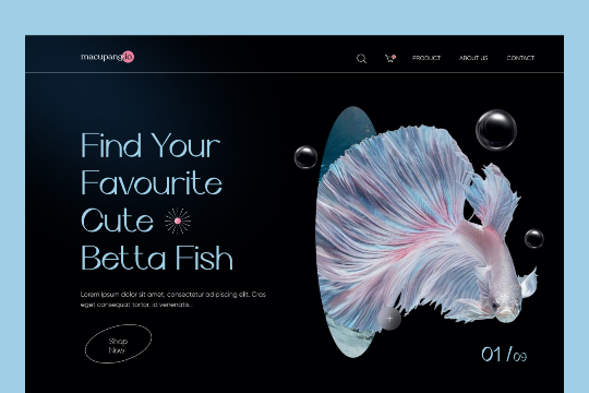 Header Component - Webflow